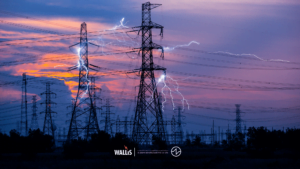 Understanding Thunder Arrestors: A Complete Guide to Their Function ...